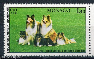 Monaco 1981, Stamp 1280, Dog, Family Collie, Dogs Stamp, New | eBay