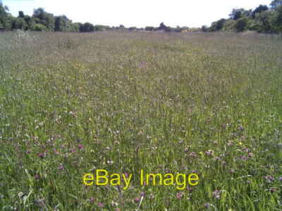 Photo 6x4 Meadow, Fen Ditton Cambridge/TL4658 I feel this image is in ...