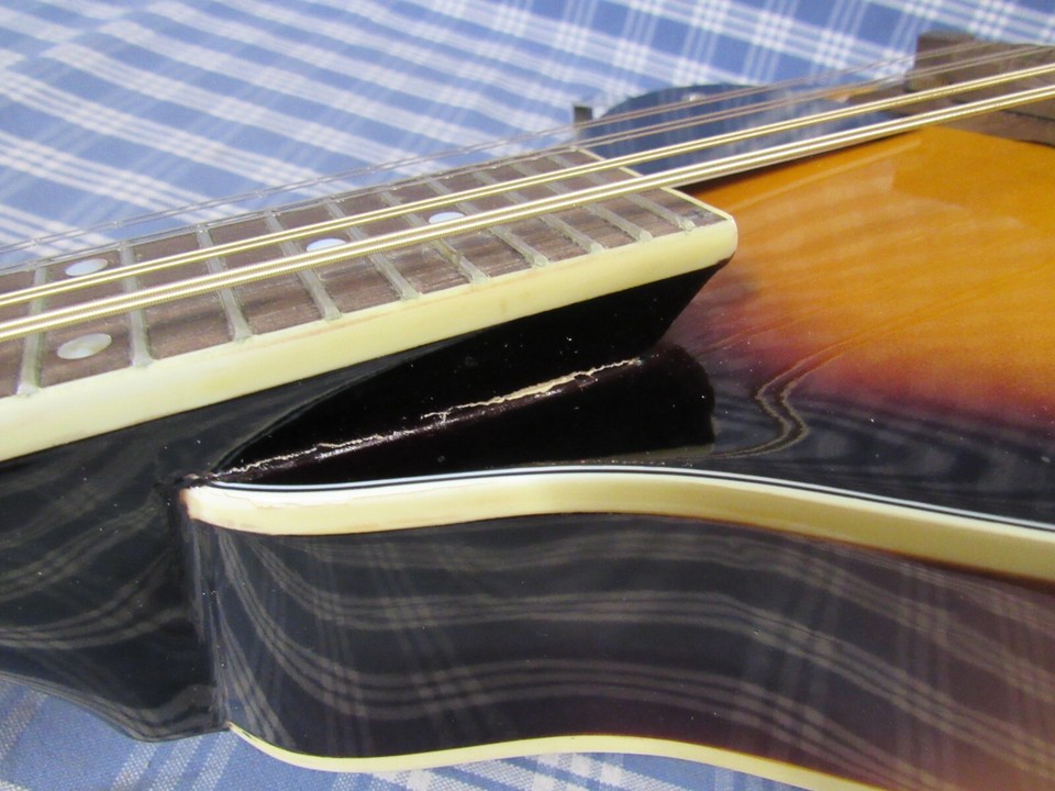 Rogue Fine Instruments RM-100A Mandolin. (Please Read Carefully) FREE ...