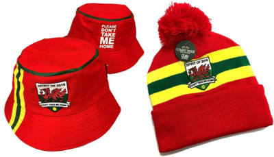 New Spirit of Wales 2016 Yellow Stripe Beach Rugby Football Bucket ...