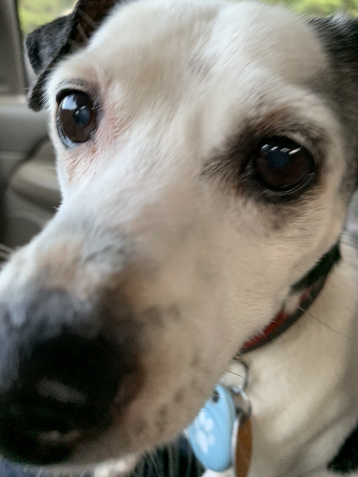 Taylor clamp carrier 8 section | eBay