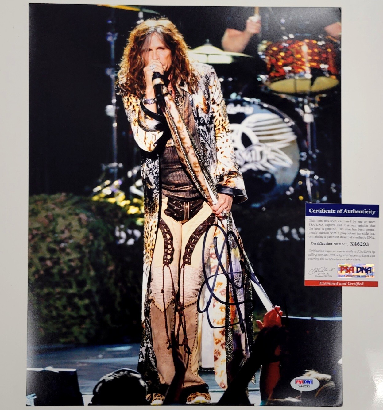 Steven Tyler Autographed Memorabilia | Signed Photo, Jersey ...