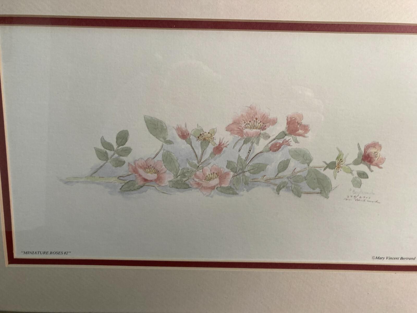MARY VINCENT BERTRAND SIGNED NUMBERED FLORAL WATER COLOR PRINT FRAMED ...