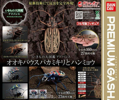 The Diversity of Life on Earth Sabertooth Longhorn Beetle & Tiger Bee 4 ...