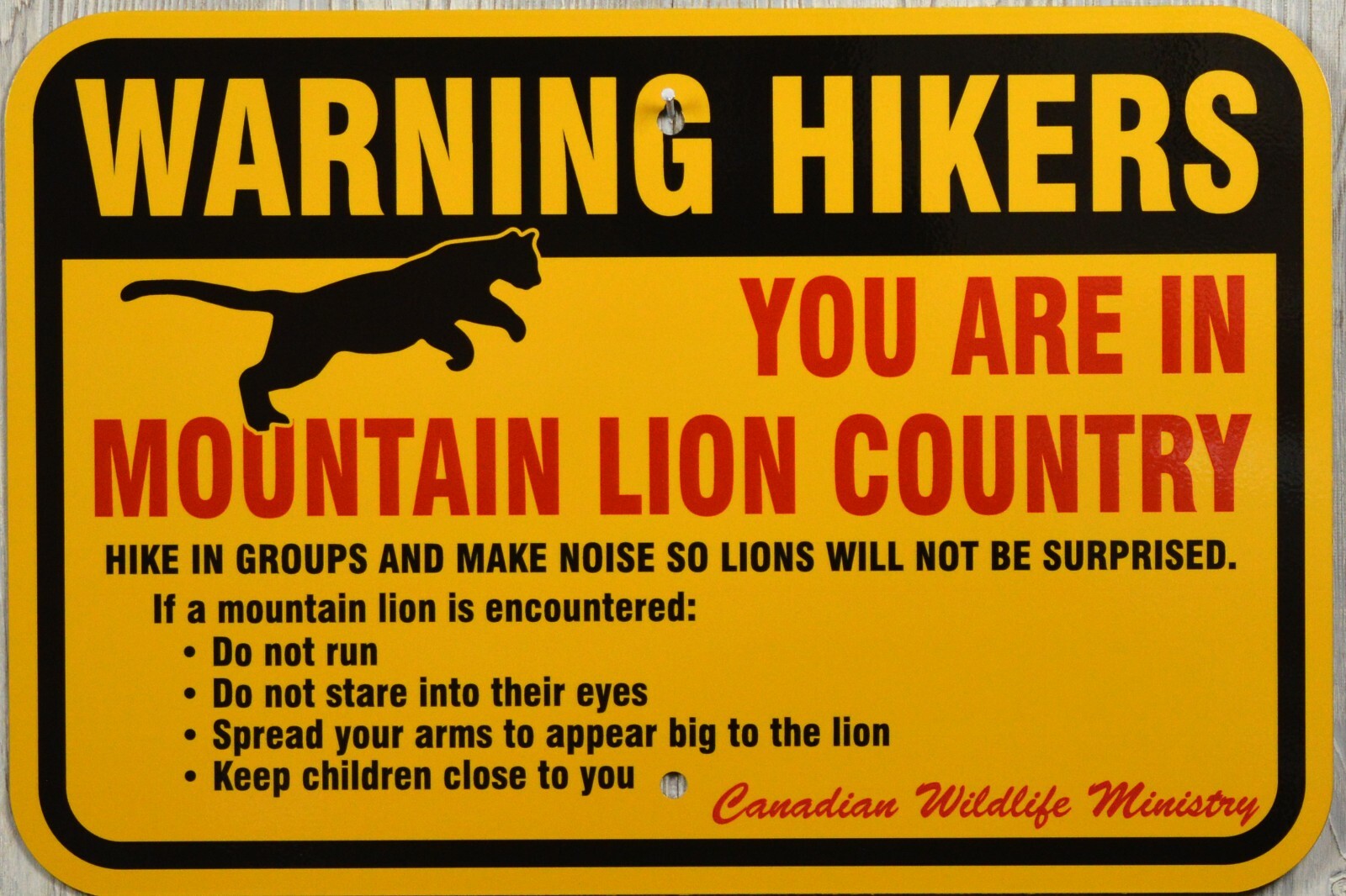 MOUNTAIN LION WARNING SIGN woods hiking hunting 12x18 sturdy aluminum ...