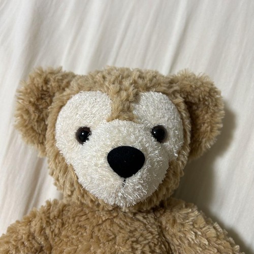 Disney Sea Duffy & Gelatoni Plush Dolls Set Pre-Owned | eBay