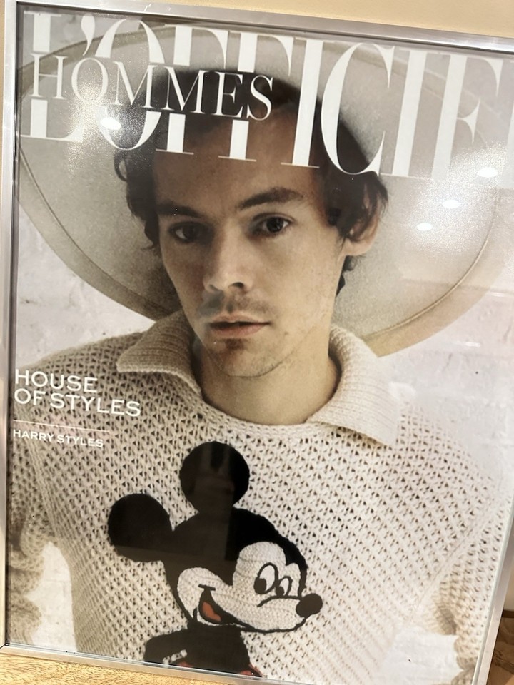 RARE FRAMED HARRY STYLES L’OFFICIEL HOMMES 2019 MAGAZINE COVER POSTER ...