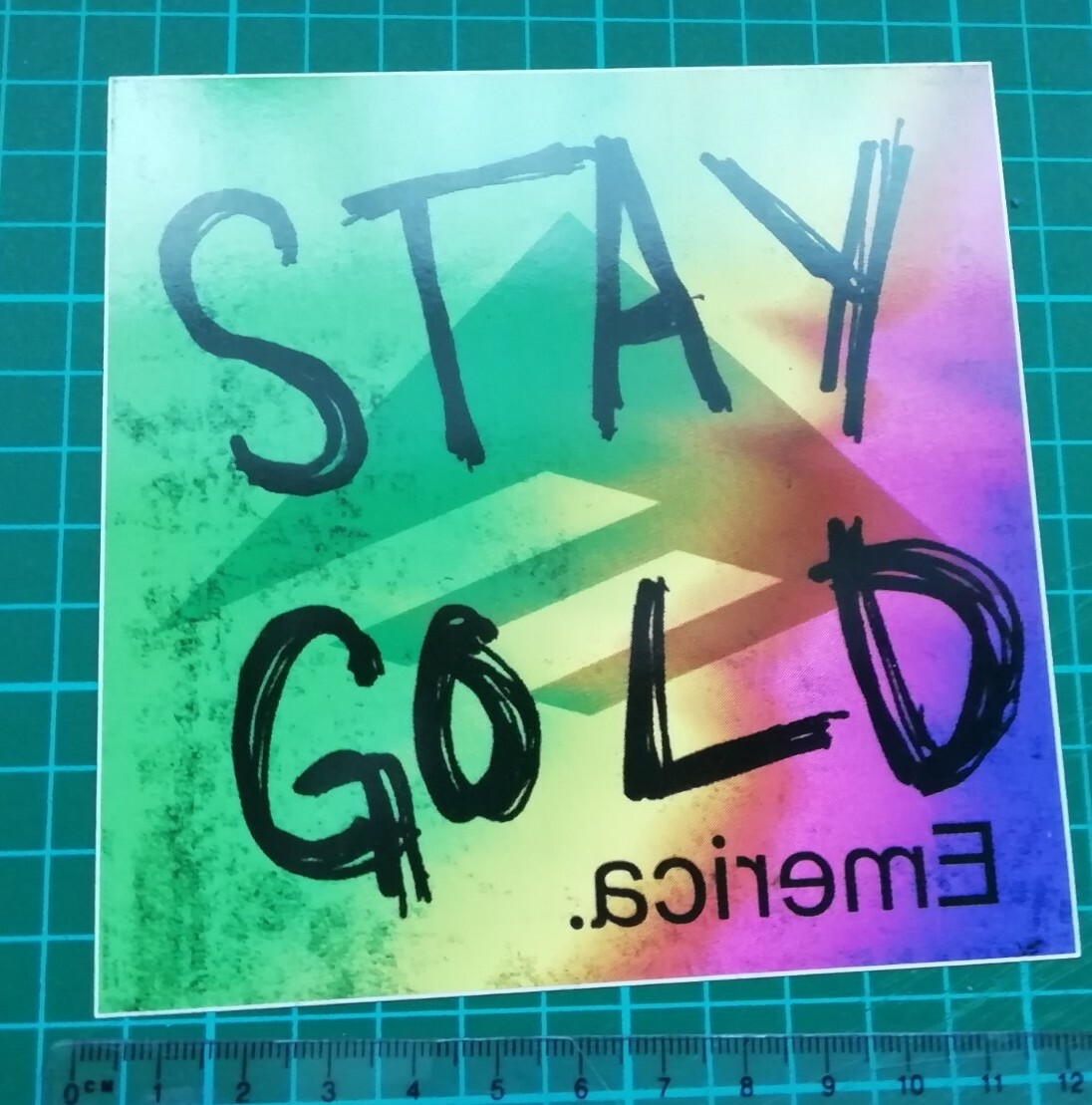 Emerica Stay Gold Logo