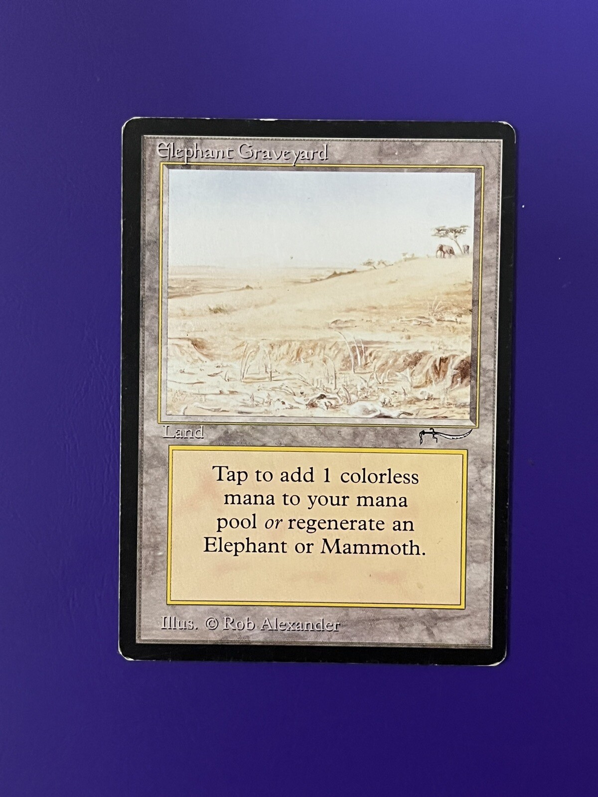 MTG: Elephant Graveyard Arabian Nights - Moderately Played - Magic Card ...