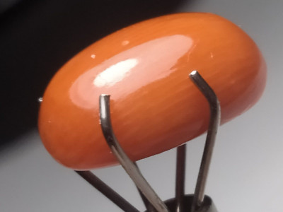 AESTHETIC NATURAL ELONGATED OVAL SHAPE RED CORAL 3.05 CT 10.9 X 7.4 X 4 ...
