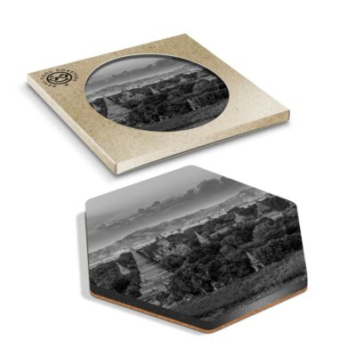 1 x Hexagon Coaster - BW - Temples Bagan Myanmar Burma #39326 | eBay