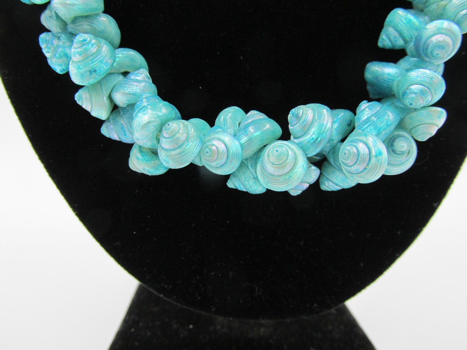 VTG Blue Trochus Shell Necklace and Screw Back Earrings Set Sea Snail ...