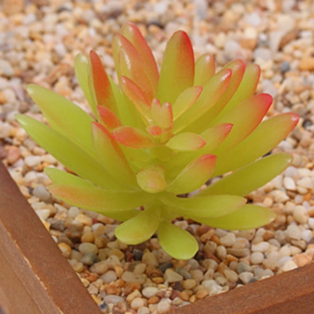 12 Pcs Mini Artificial Random Succulent Plant Decor Unpot Simulation ...
