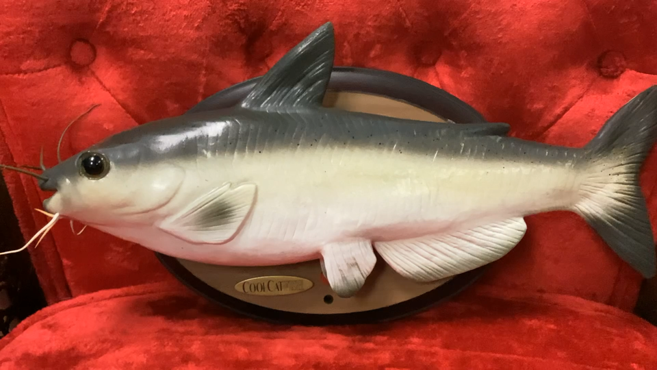 Cool Catfish Animated Singing Fish Gemmy Inc. Singing in Video He Has ...