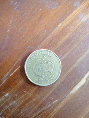Rare Miss Shaped 2002 $1 ONE DOLLAR COIN - YEAR OF THE OUTBACK, Rare ...