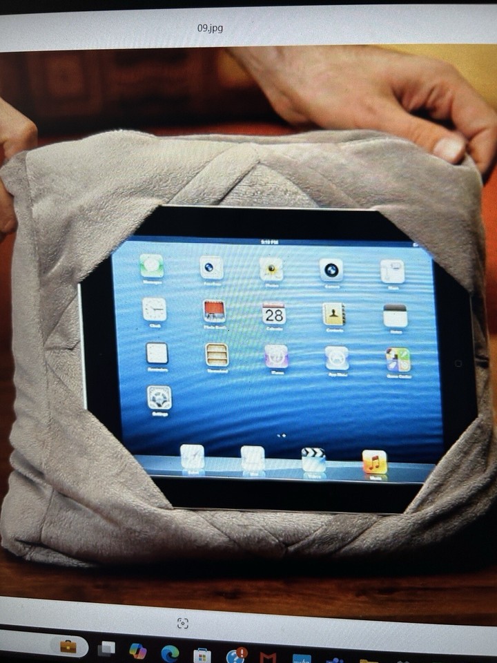 Travel Neck Pillow GoGo -As Seen On TV- GoGoTablet Holder Pillow, Color ...