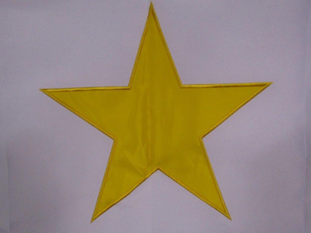 3x5 Embroidered Sewn Tejas Y Coahuila 600D 2ply Nylon Flag 3'x5' Brass ...