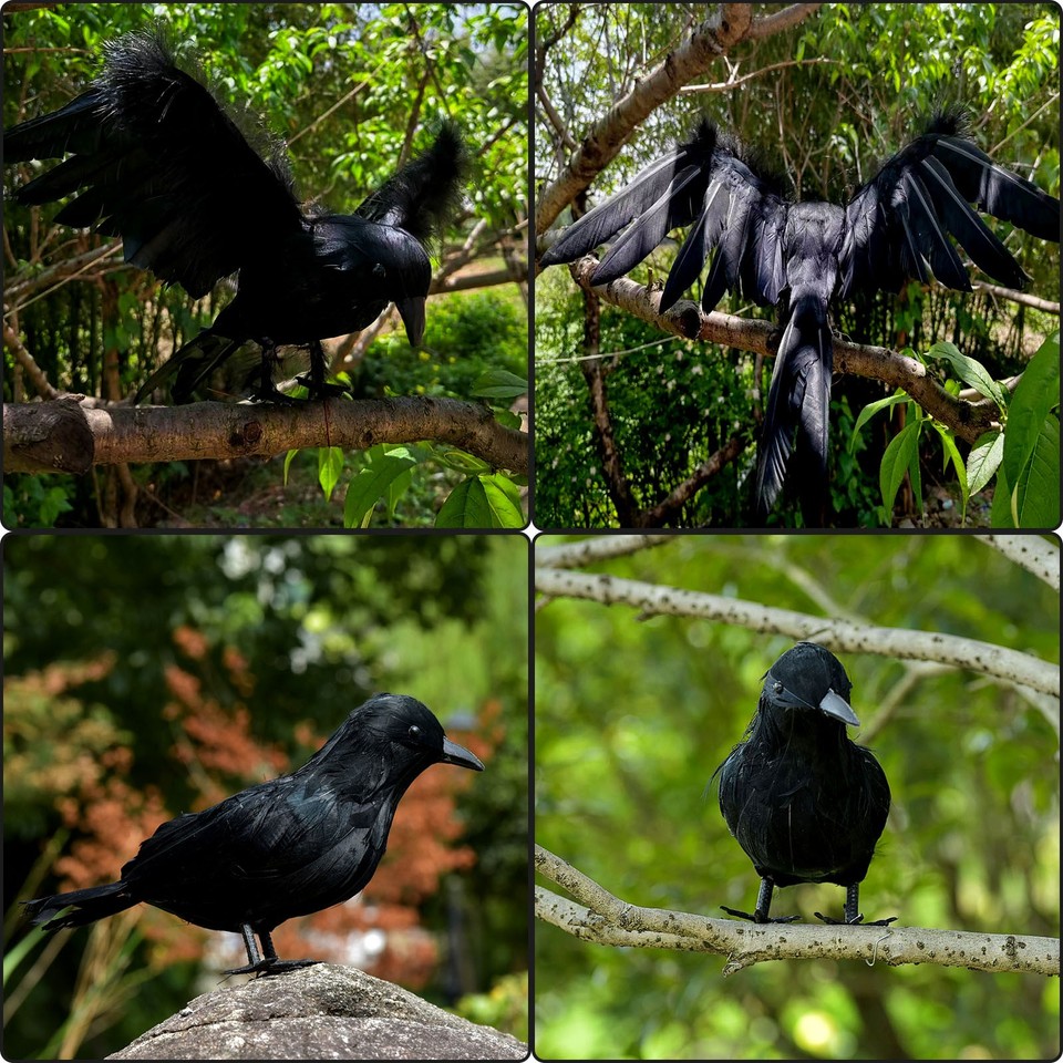 2X Realistic Black Feathered Prop Raven, Halloween Spooky Party Crow ...