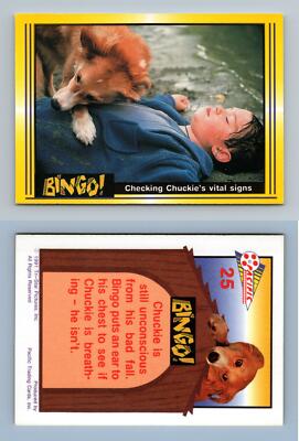 Checking Chuckie's Vital Signs #25 Bingo! 1991 Pacific Trading Card ...