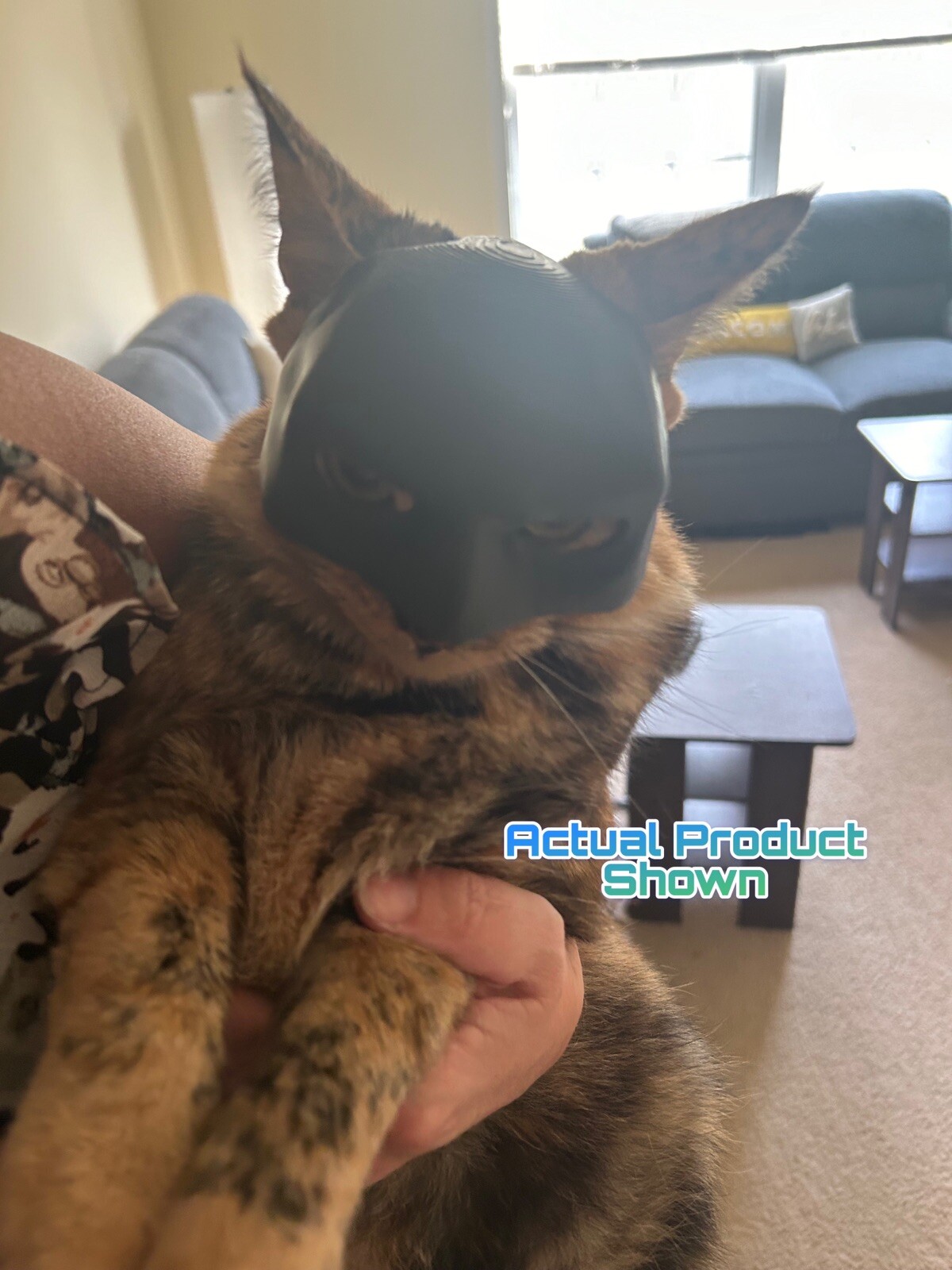 [3D Printed] Bat Cat Helmet Mask For Cat (Batcat) | eBay