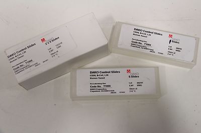 Dako Control Slides CD20 B-Cell L26 Human Tonsil T1066 *11 Slides* Lens ...