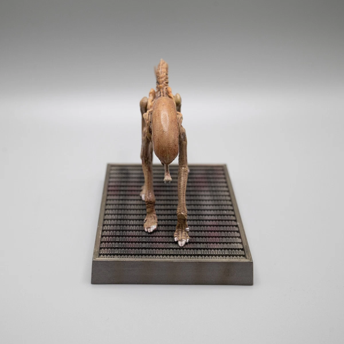 Alien 3 Dog Chestburster