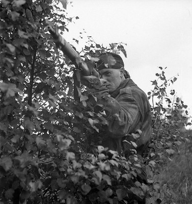 WW2 Photo WWII World War Two Canadian Sniper Belgium 1944 Enfield ...