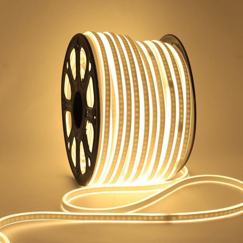 65ft Double-side Neon LED Light Strip 12V 24V Rope Tube Waterproof ...