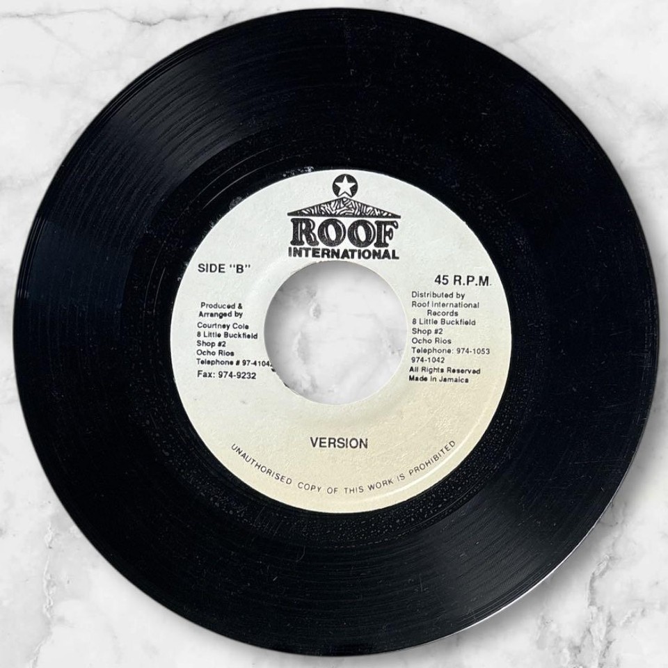 SAY-TAN Diplomat 90s Dancehall 7" Vinyl Reggae 80s Dub Rare Used | eBay