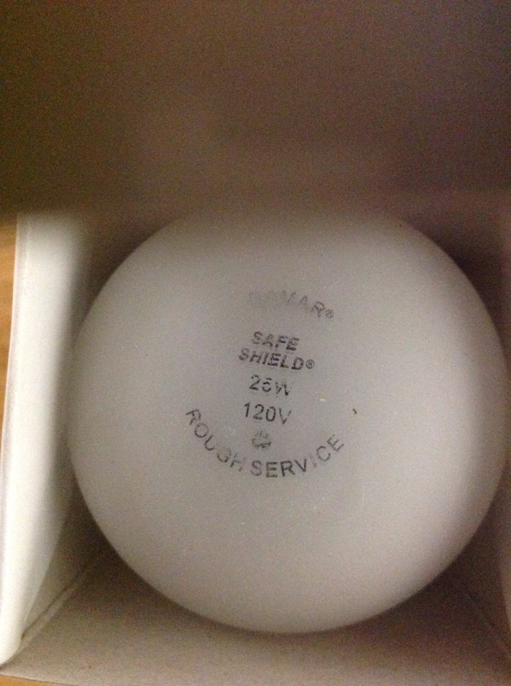 Damar Safe-Shield Rough Service Shatter Resistant Lamp 120V 25 Watts ...