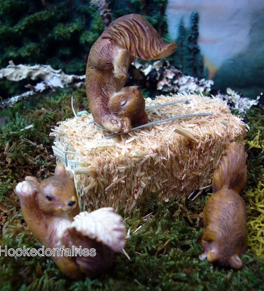 Miniature Playing Squirrels Set of 3 Assorted for Fairy Garden MG 177 ...