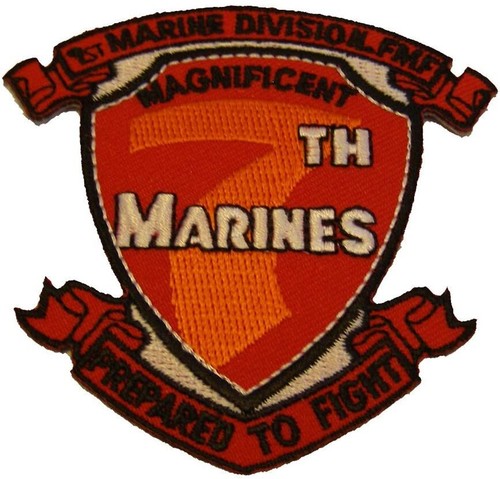 USMC MAGNIFICENT 7TH SEVENTH MARINES REGIMENT PATCH 29 PALMS TASK FORCE ...