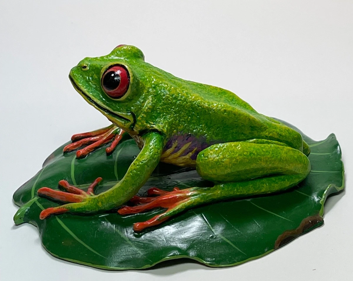 Red Eyed Tree Frog Craft