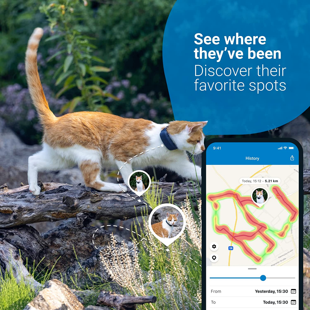 Gps Dog Collar Tractive GPS Cat Tracker - Waterproof, Real-Time ...