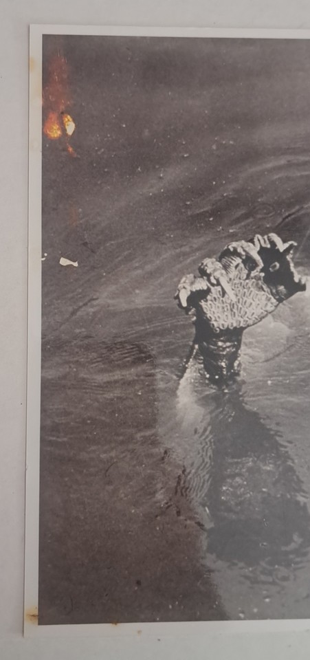 Ben Chapman Autograph 8x10 Photo Creature From The Black Lagoon Actor ...