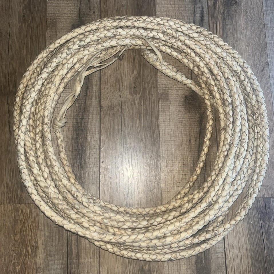 4 Plait Braided Rawhide Rope Riata Reata Lariat Lasso Vaquero 50ft | eBay