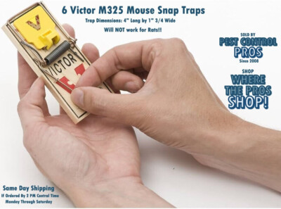 6 Victor Mouse Snap Traps M325 Pro - Holdfast ~ Kill and Control Mice ...