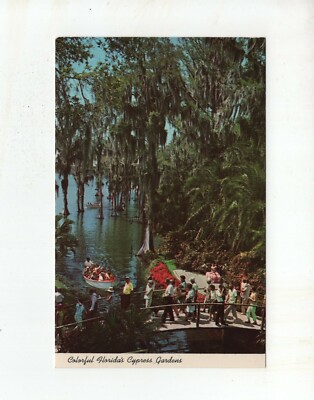 Vintage Post Card - Colorful Florida's Cypress Gardens | eBay