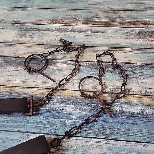 Vintage Champion No #1 Single Longspring Trap USA Long Spring Lot of 2 ...