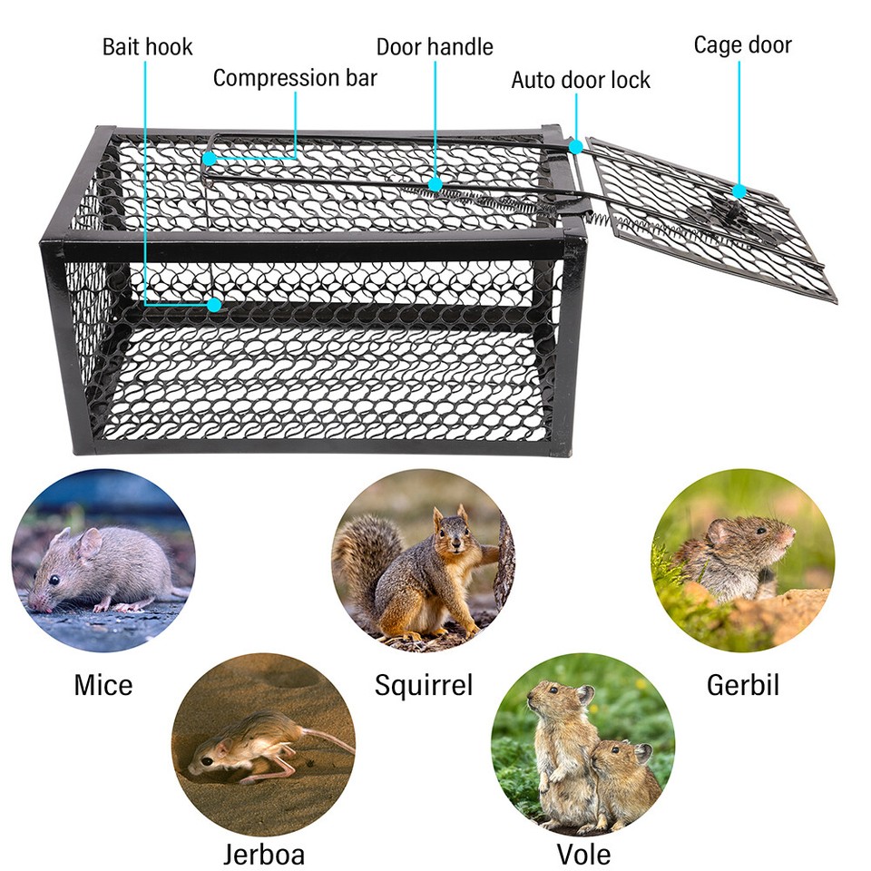USA Mouse Trap Rat Trap Rodent Trap Live Catch Cages - Easy to Set Up ...