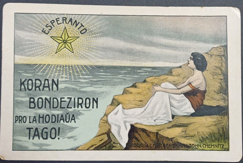 ESPERANTO postcard esperanto Propaganda Institute greetings because day ...