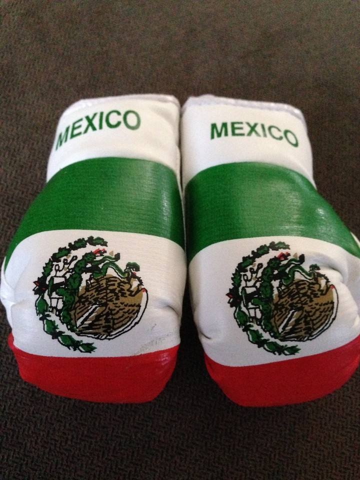 MEXICO MEXICAN FLAG Mini Boxing Gloves Ornament Brand New | eBay