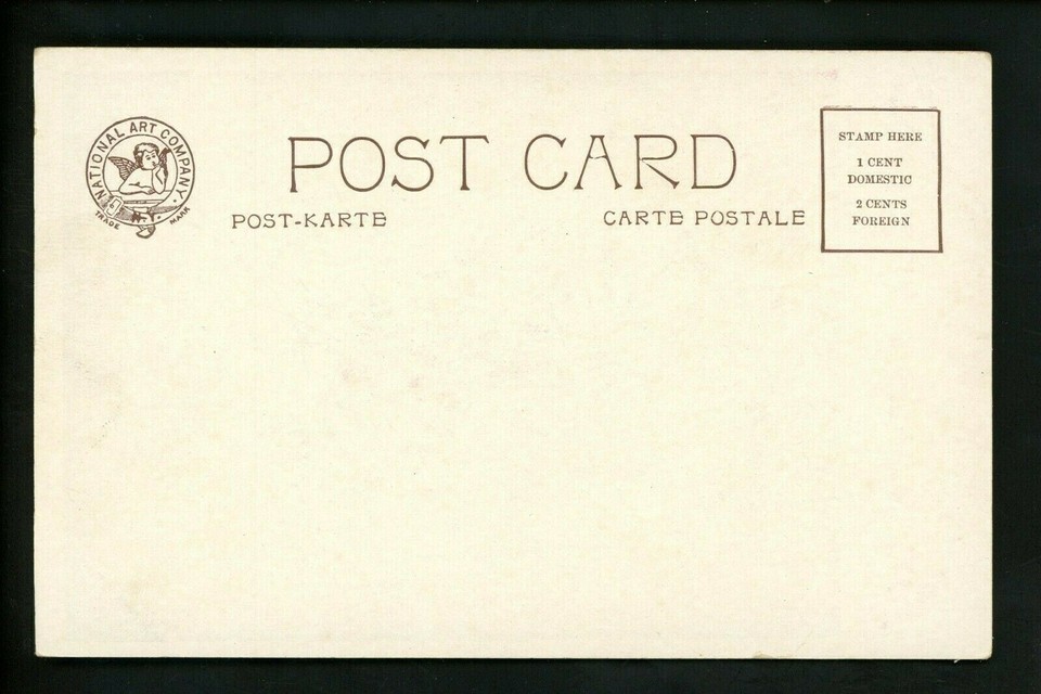 Teddy Bear postcard Artist Signed Twelvetrees National Art Co. 1906 ...
