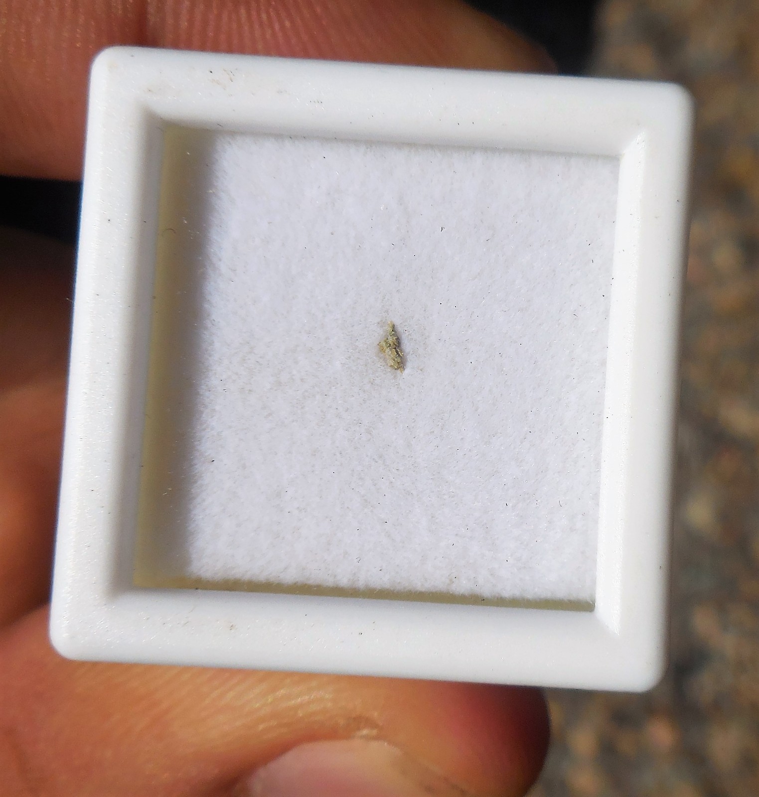 TINY LUNAR NWA 6950 GABBRO SPECIMEN - RARE METEORITE - ONLY $7 OR BEST ...