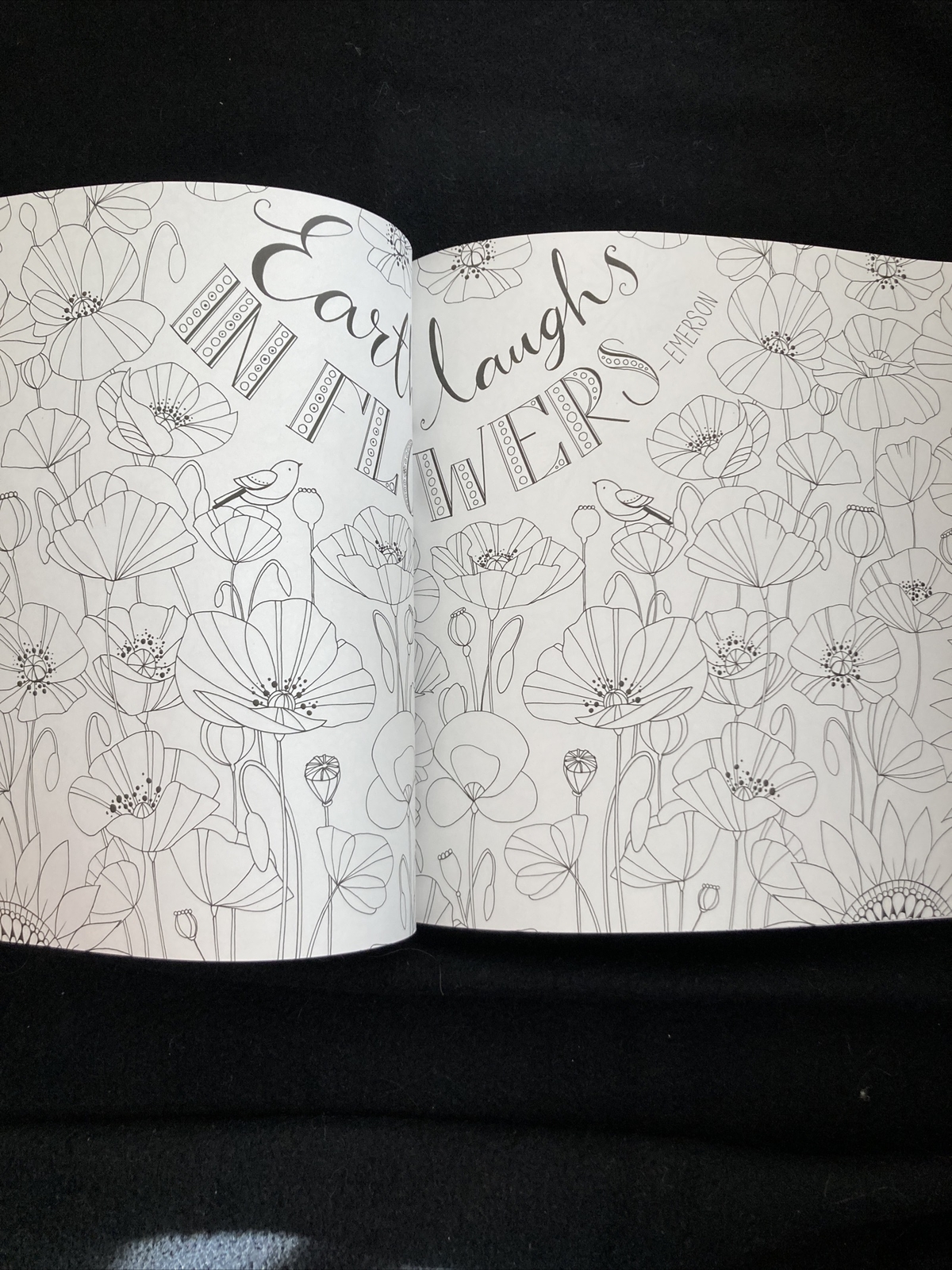 Joyous Blooms to Color : Coloring Book for Adults and Kids to Share: a ...