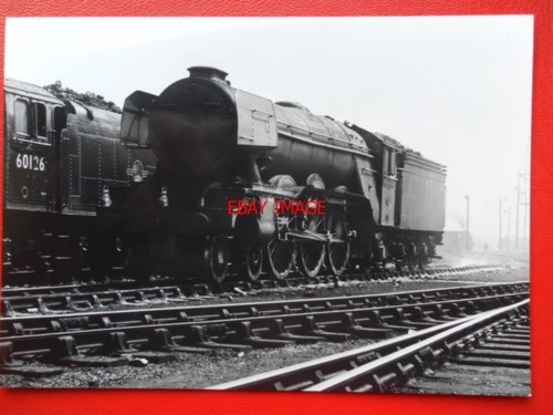 PHOTO LNER EX GNR GRESLEY CLASS A3 4-6-2 60088 BOOK LAW AT YORK MPD 9/6 ...