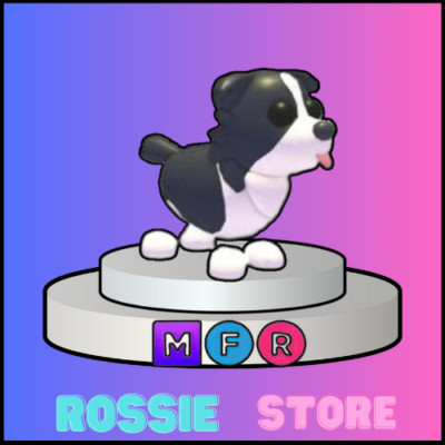 MFR BORDER COLLIE - BUY NOW - [MEGA FLY RIDE] | eBay