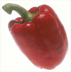 Pepper Red Bountiful 250 seeds | eBay