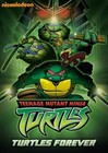 Teenage Mutant Ninja Turtles: Turtles Forever (DVD, 2009) 97368960343| eBay