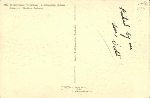 Red,White,and Blue flowers Thor E. Gyger Vintage Postcard Post Card | eBay